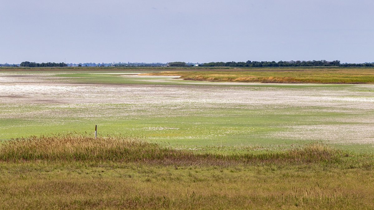 Kiszáradt az alföldi Fehér-tó - AQUA Vízisport és Életmód Magazin